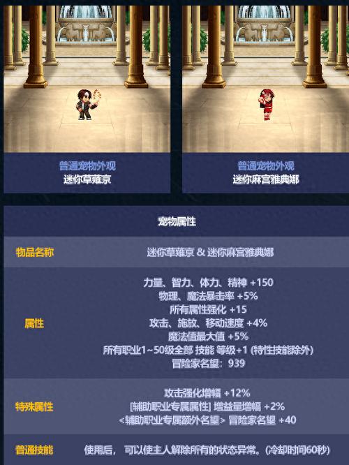 dnf宠物装备2024叫什么图标