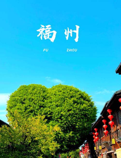 福州香烟大全一览表截图
