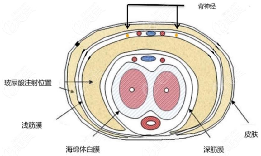 海绵体打一针多少钱图标