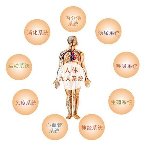 女人代谢不好吃什么药调理图标