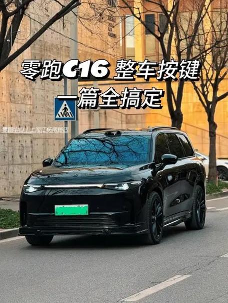 零跑C16,26赖哨兵模式在手机上看实时