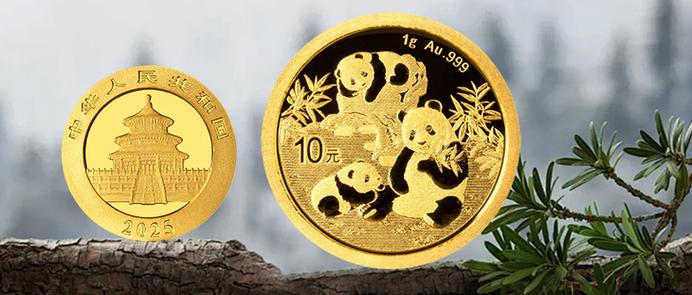 熊猫金币封装版截图