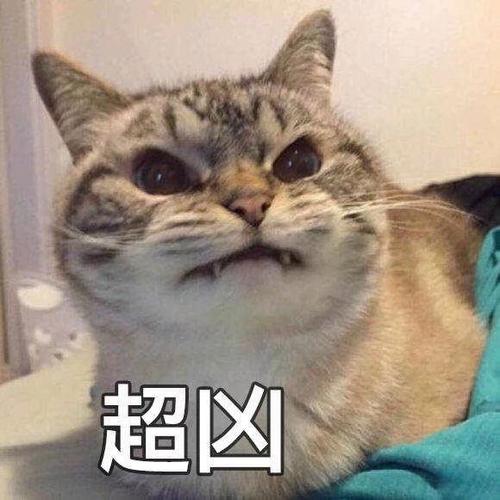 我的宠物超级凶截图