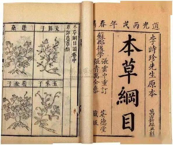 本草纲目意思图标
