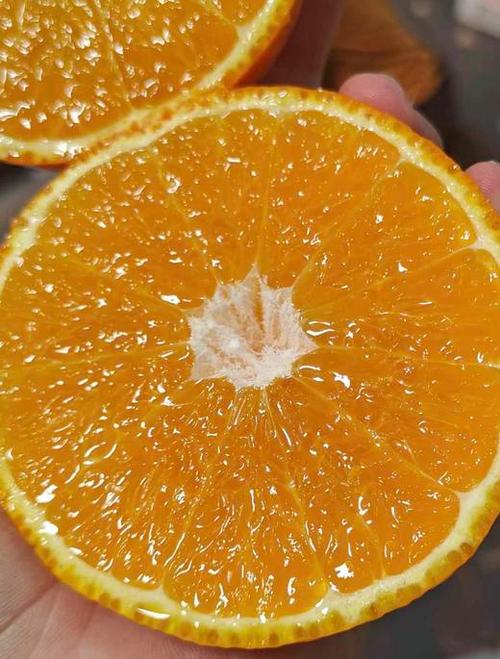 果冻橙大的好吃小的好吃图标
