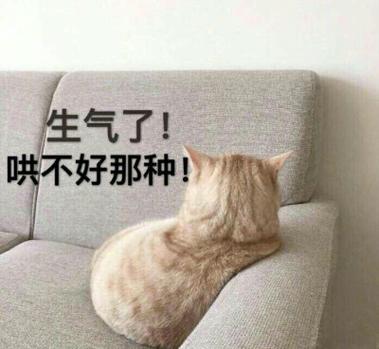 生气了哄不好的那种表情包