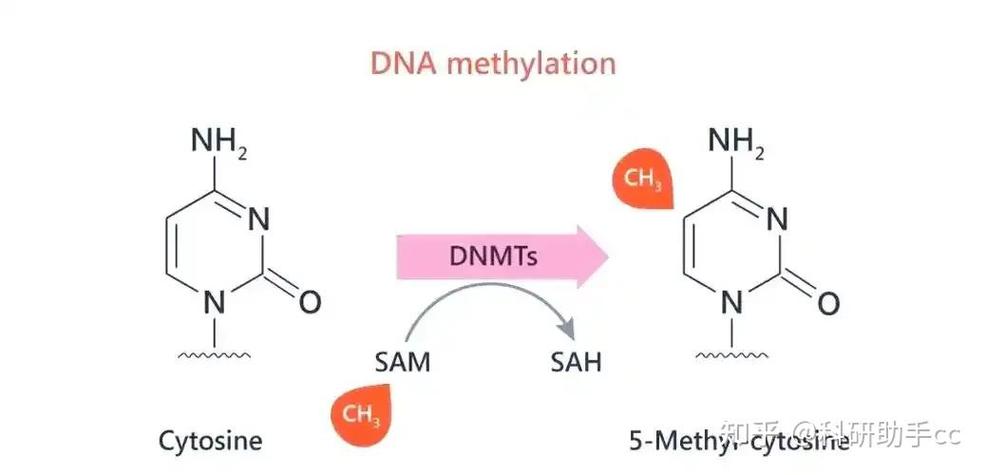 dnat会改变源地址吗截图