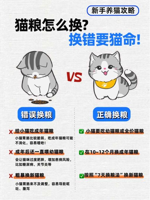 猫换粮不吃怎么办饿着