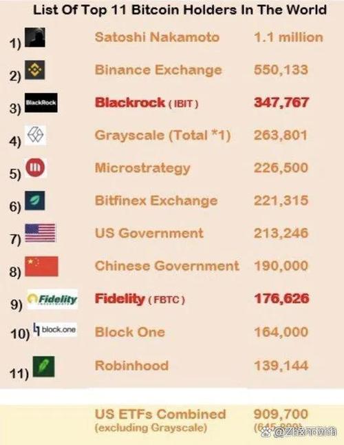 全球比特币十大持有者截图