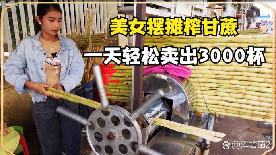 做甘蔗生意赚钱吗图标