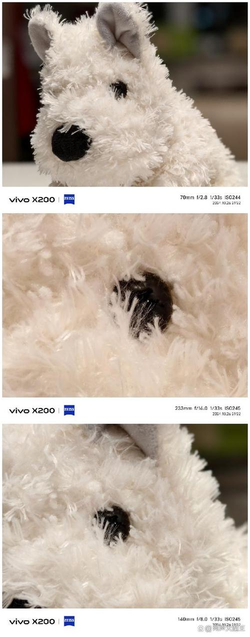 vivo手机照片去水印图标
