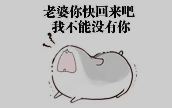 逗媳妇开心的表情包截图