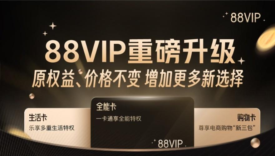 88vip会员图标
