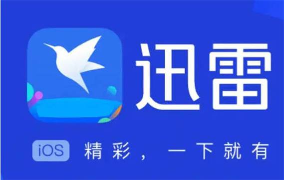 大师兄下载迅雷图标