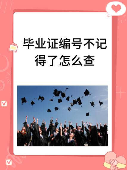 域名证书查询网站缩略图