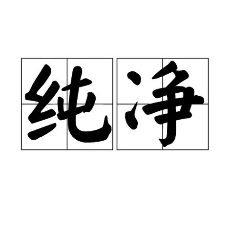 纯净的意思是什么意思图标