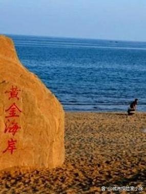 黄金海岸手机客户端图标