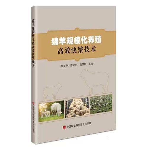 什么绵羊长得快繁殖快图标