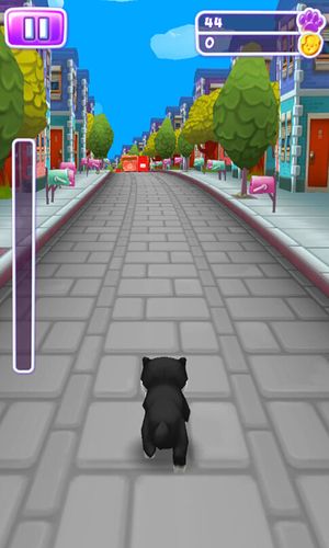 猫猫跑酷2024年量版