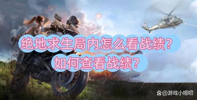 pubg怎么查看别人战绩图标