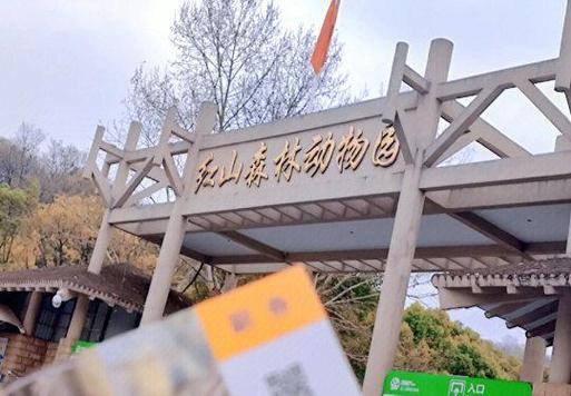 红山社区属于哪个街道办事处图标