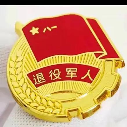 退役军人纪念章图片图标
