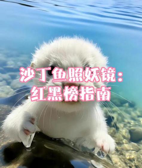 沙丁鱼星球照妖镜截图
