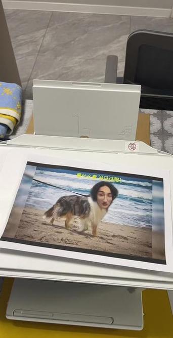 酷凡照片真人图标