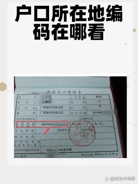全国户口户籍查询信息网图标