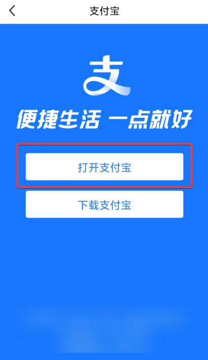闲鱼怎么用支付宝支付图标