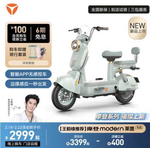 雅迪女款最火的一款图标