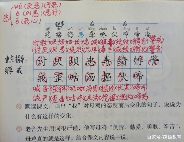《母鸡》组词