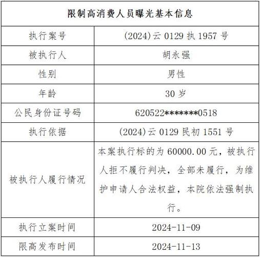 限高被执行人查询官网图标