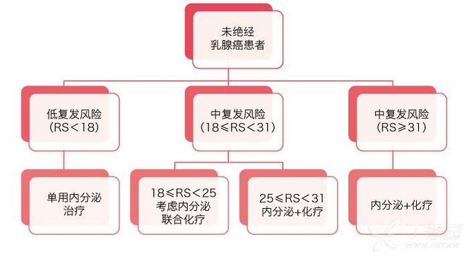 乳腺癌基因检测意义图标