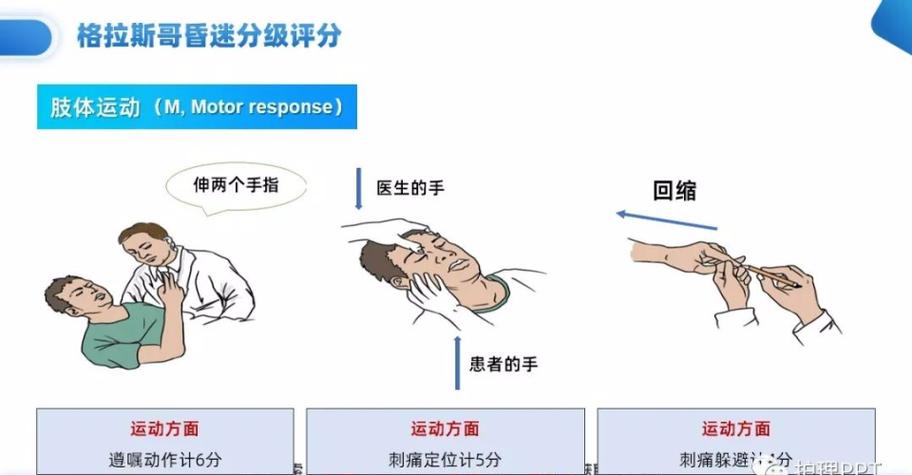 gcs昏迷评分六个等级图标