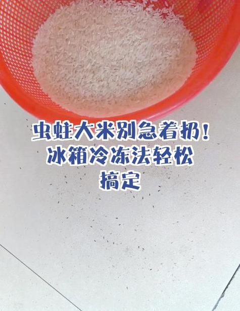 大米冷冻后还能吃吗截图