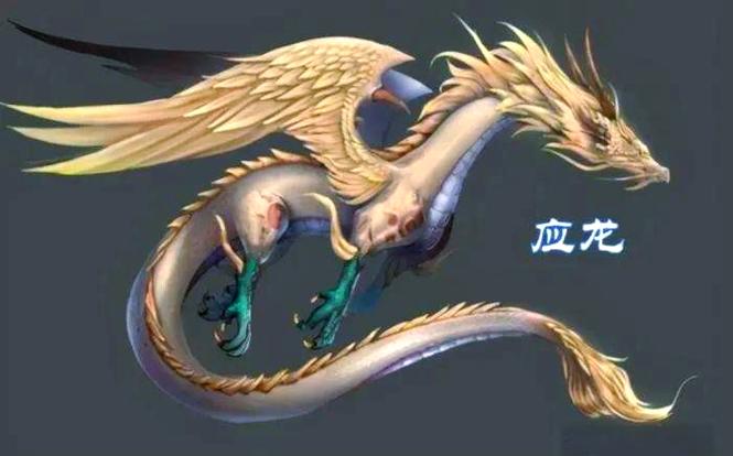 神龙ip截图