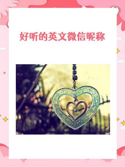 petal英文怎么读图标