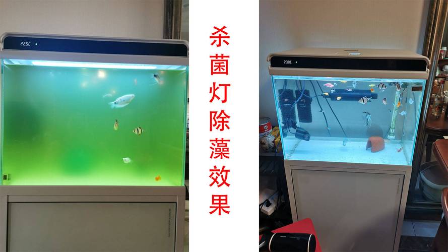 鱼缸的杀菌灯可否每天24小时都开着截图