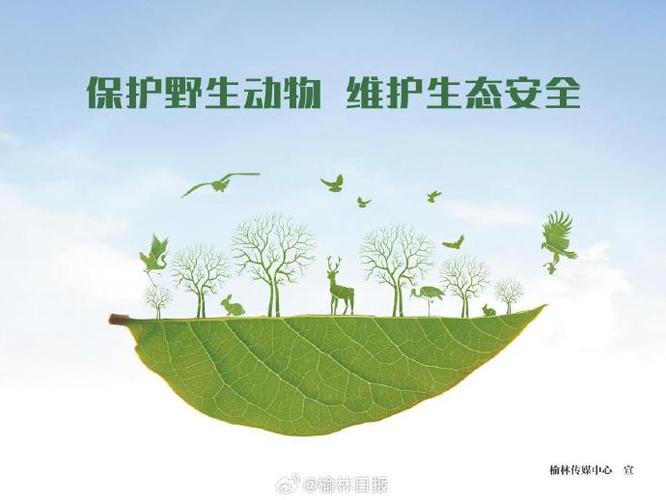 动物公益广告图标
