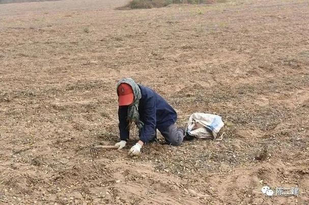 村民不捡食物怎么办图标