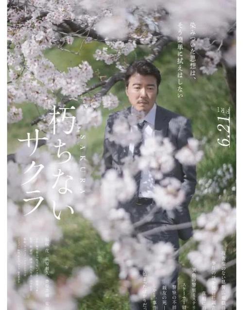 白色的樱花是什么品种图标