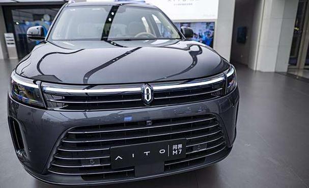 赛力斯问界M7图标