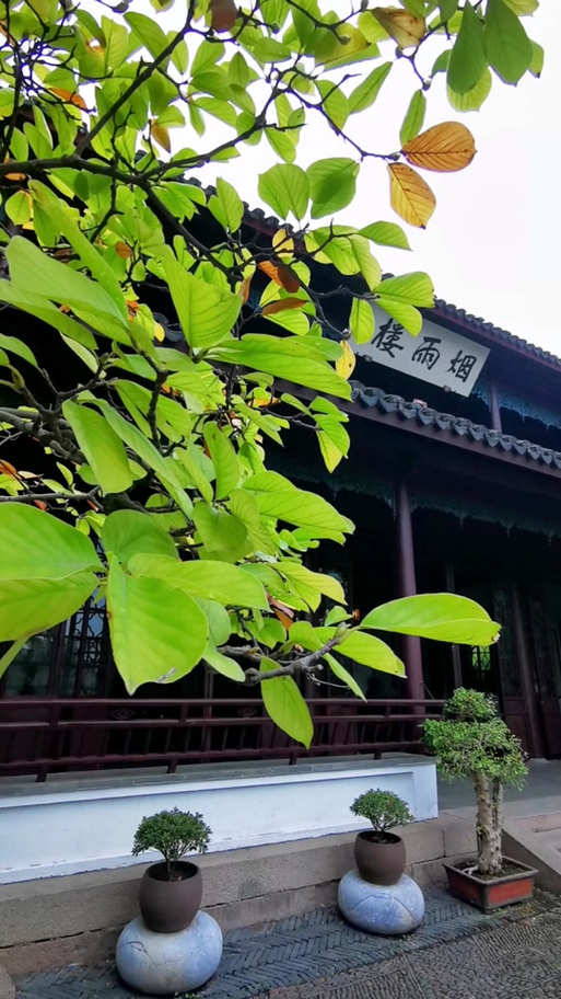 烟雨楼五境上的境界是什么图标