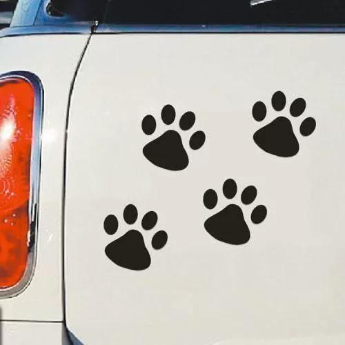 猫爪碰了一下,没痕迹有事吗截图
