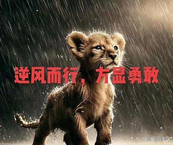 逆风而行下一句图标