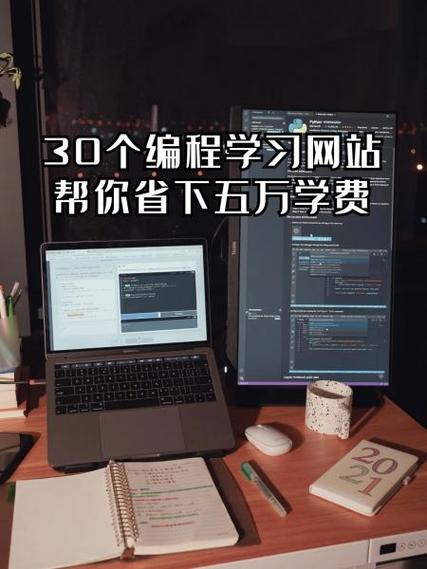 编程软件自学网图标