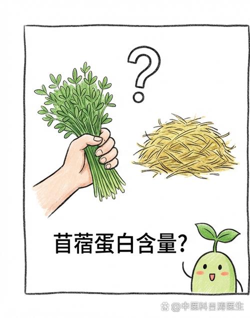 苜蓿草含多少蛋白截图