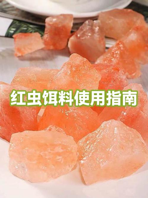 红虫干有营养吗图标