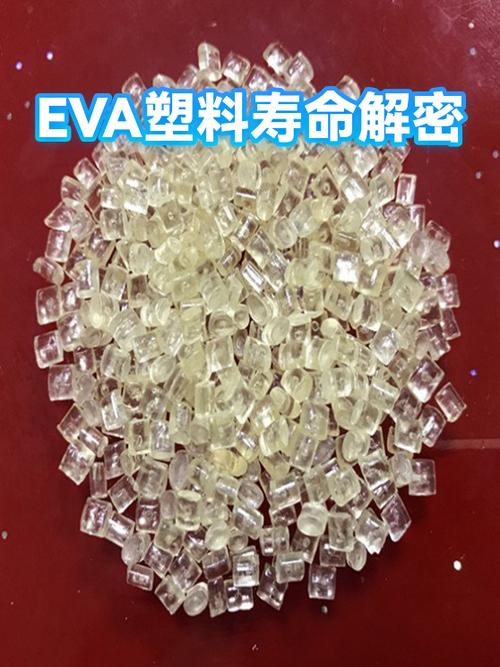 eva一般寿命几年图标
